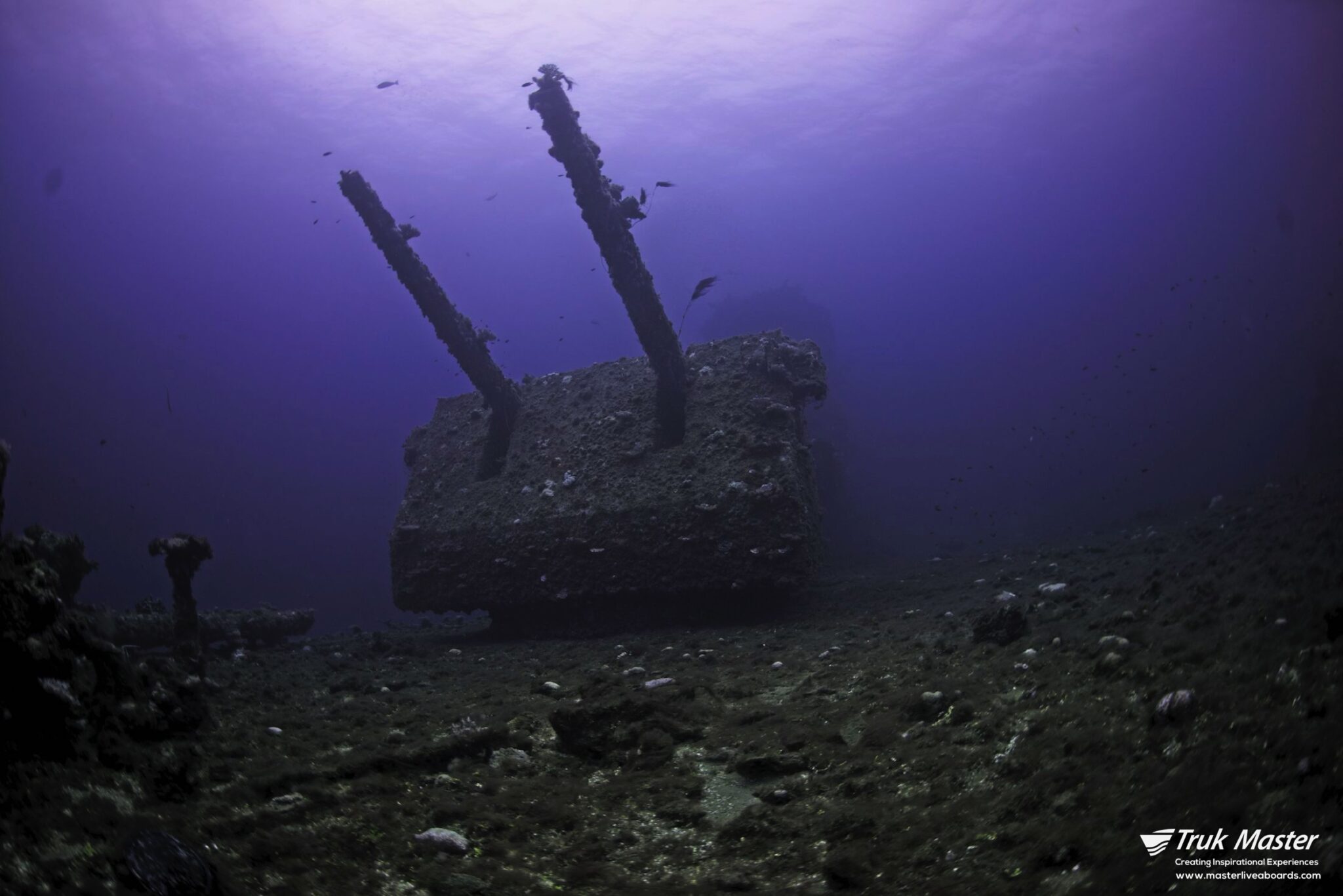 The Ultimate Guide to Wreck Diving