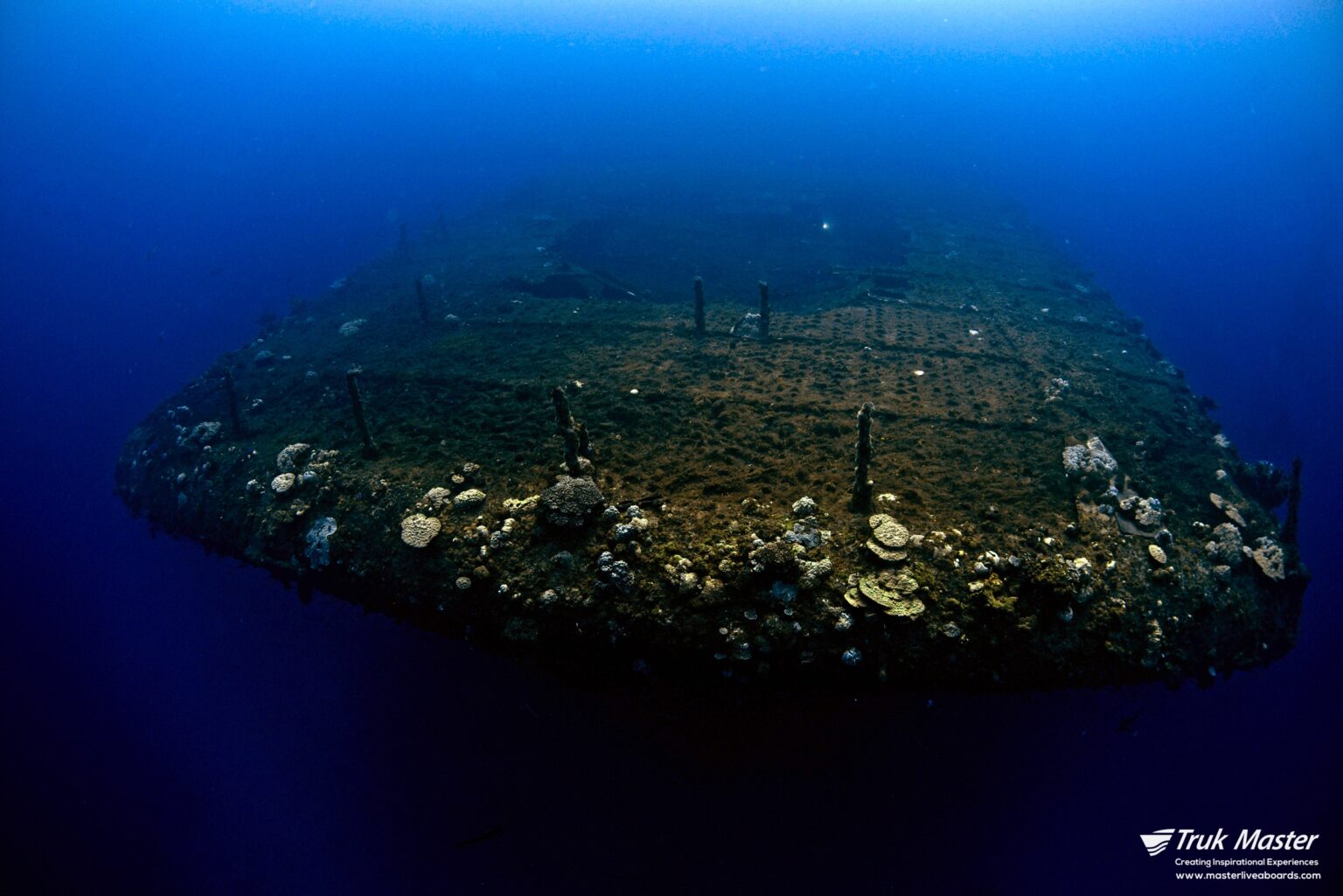 The Ultimate Guide to Wreck Diving