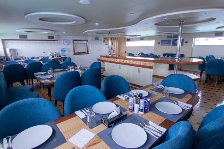 Scuba Scene the Luxury Red Sea Liveaboard