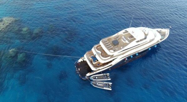 Scuba Scene the Luxury Red Sea Liveaboard | Sharks, Wrecks, Reefs & Tec ...