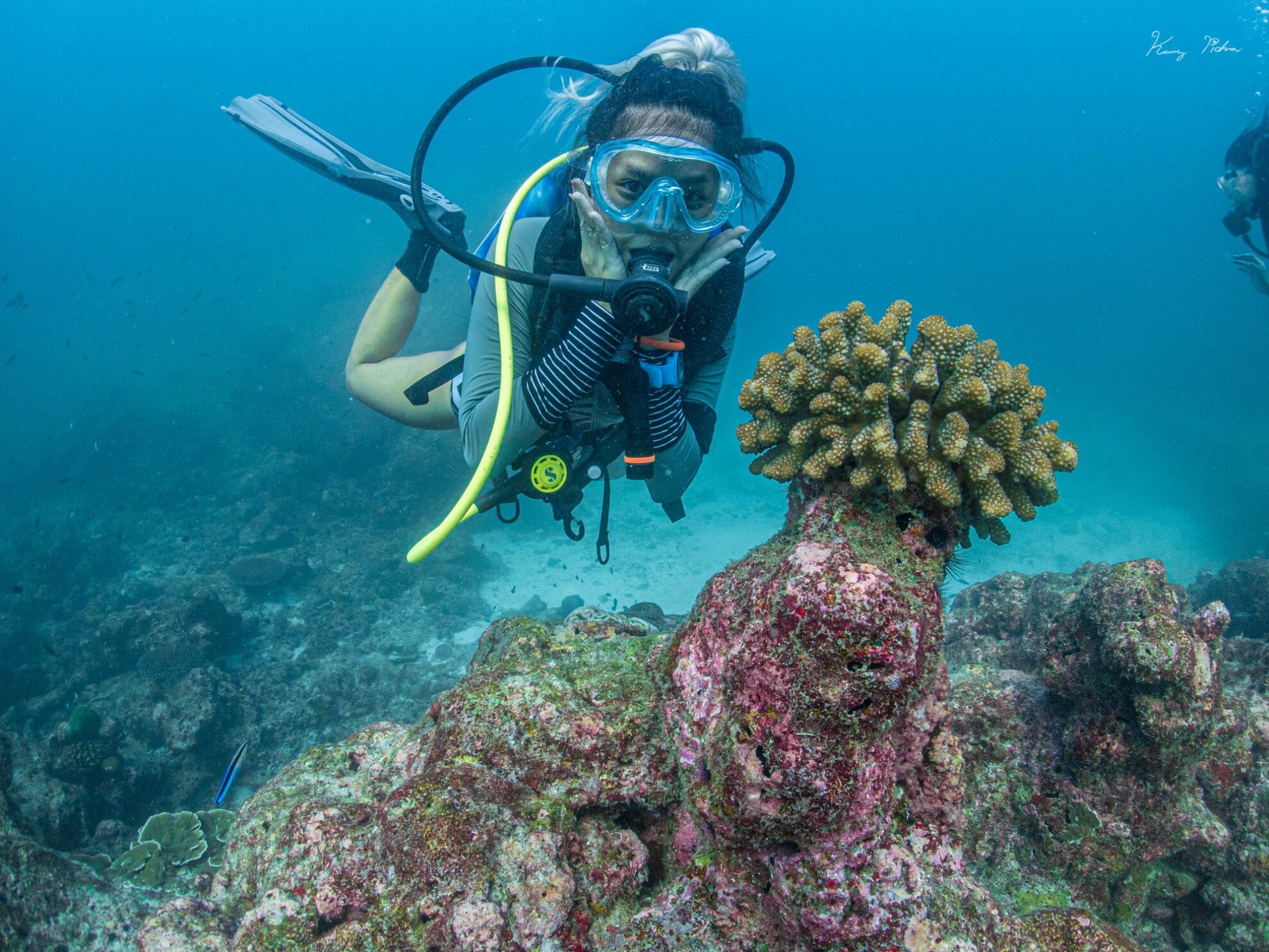 Start Your Scuba Adventure With Beginner-Friendly Diving Holidays ...