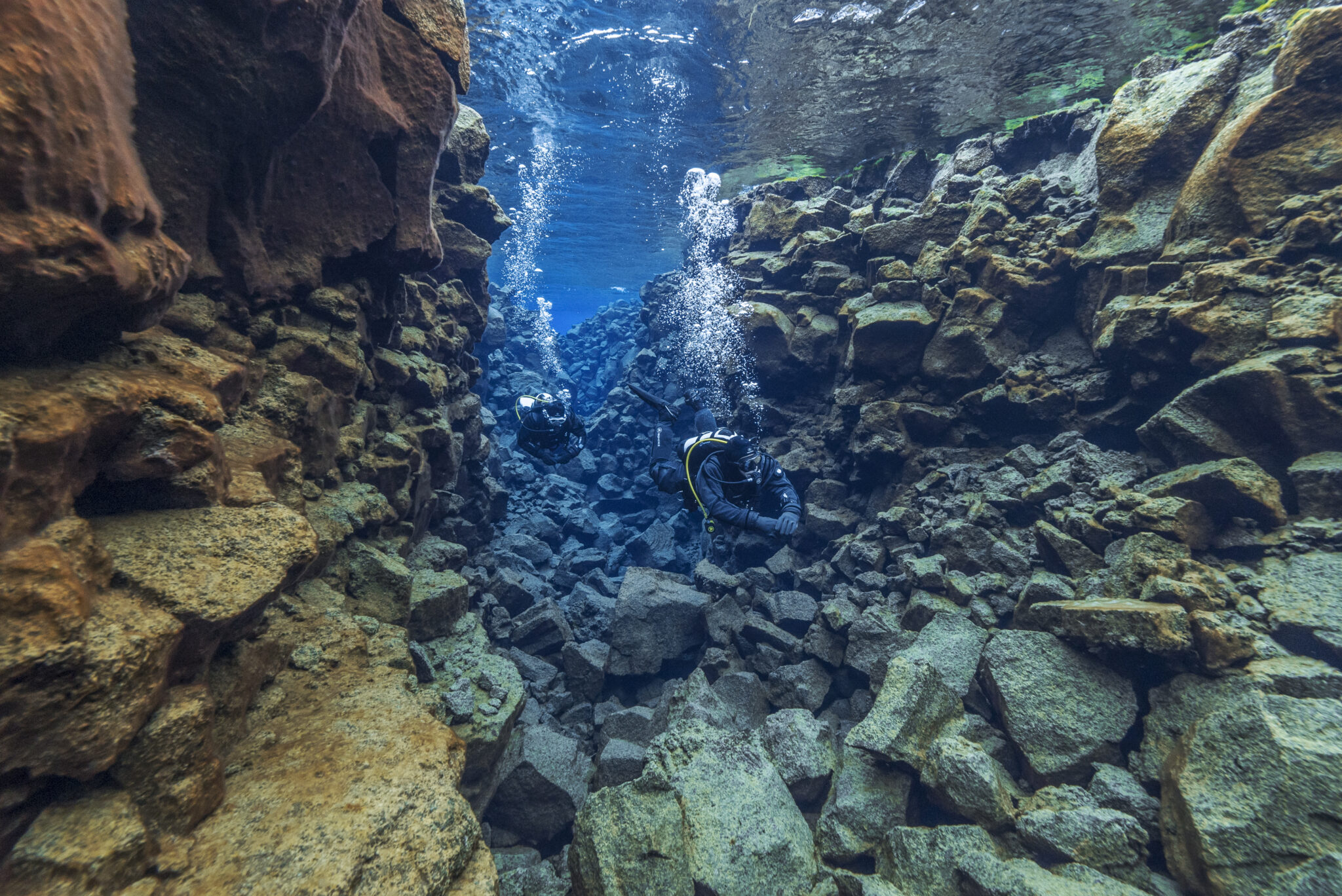 Silfra Diving, Whale Watching and Northern Lights, Iceland - Oyster Diving
