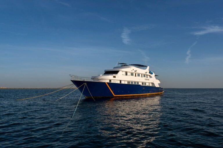 Toomer's Tec Tours: Red Sea Liveaboard | April 2026 - Oyster Diving