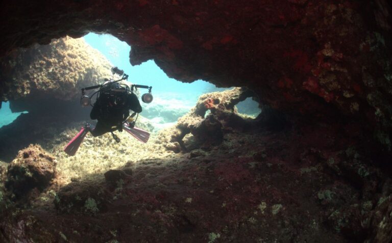 Paphos, Cyprus - Oyster Diving