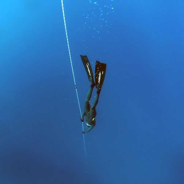 What is Freediving? Everything You Need to Know | Oyster Diving