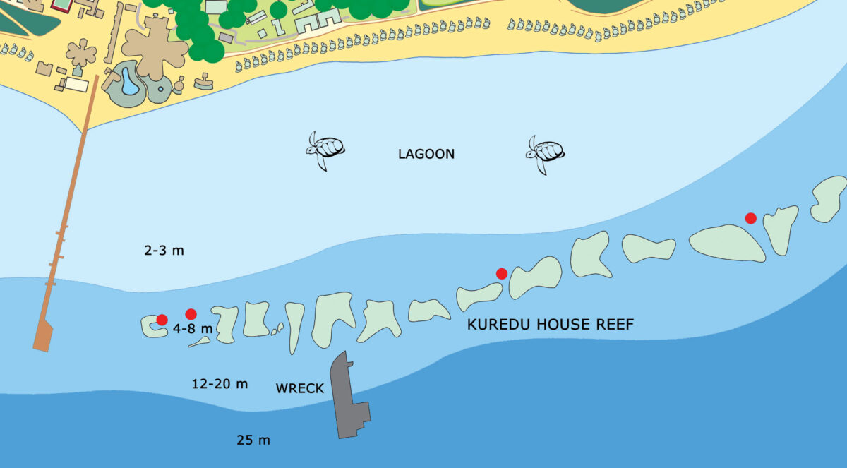 Kuredu Island Resort and Spa, Malé, Maldives | Oyster Diving Trips