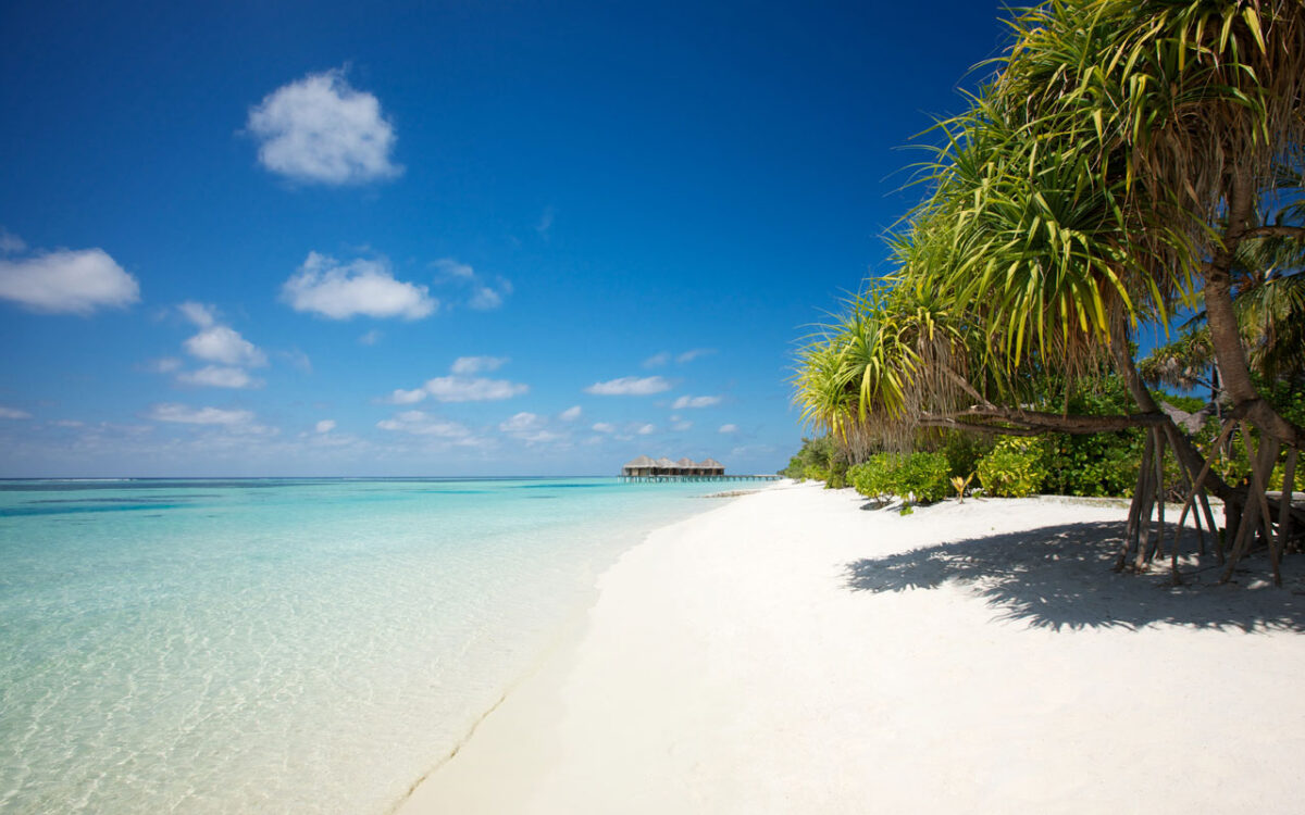 LUX* Resort, Maldives | Oyster Diving Trips