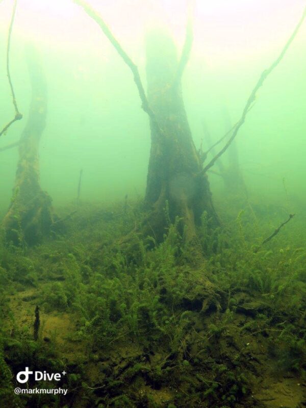 Mercers Country Park Inland Diving Lake
